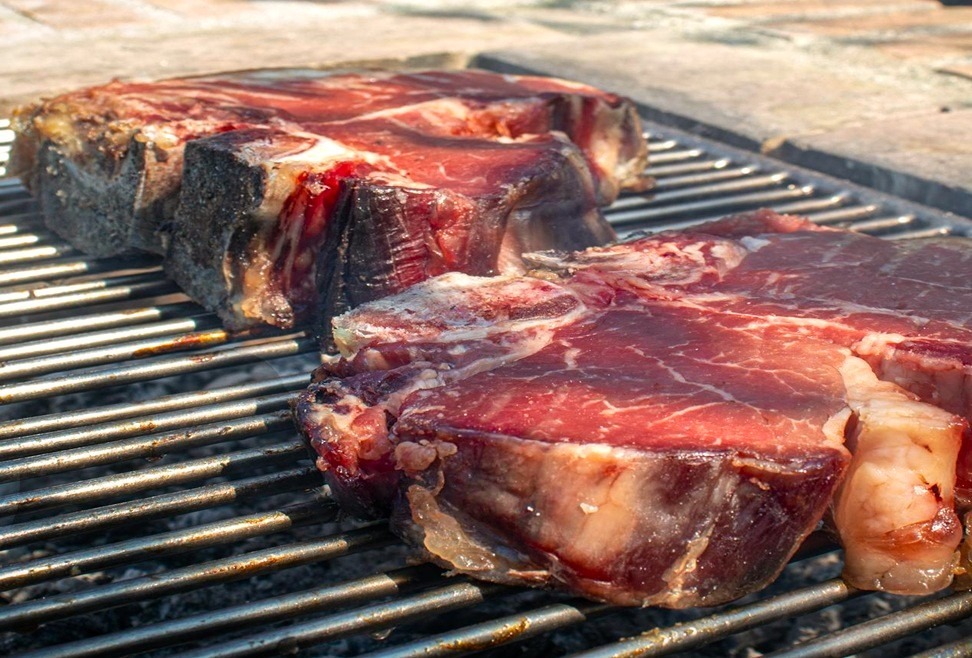 Diet and cancer: the “plant-based” narrative gets more complicated ...